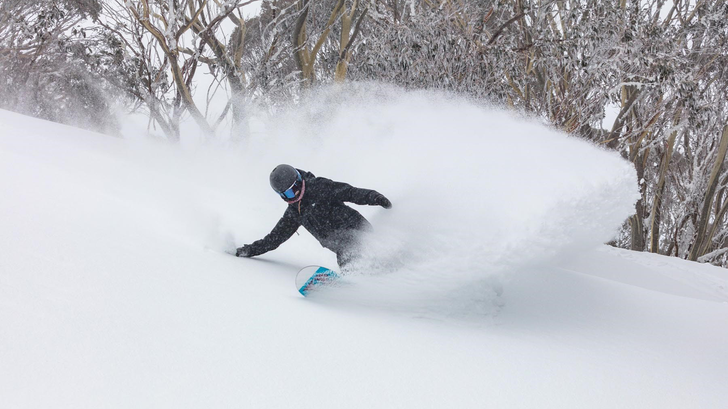 Qantas adds seasonal ski flights to Cooma, Albury - Executive Traveller