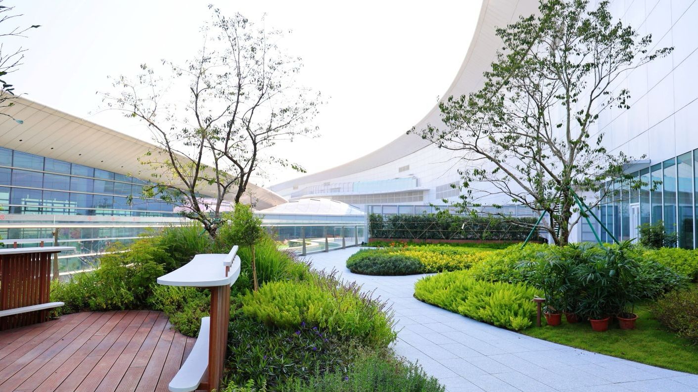 New Star Alliance lounge brings outdoor garden to Guangzhou - Executive ...