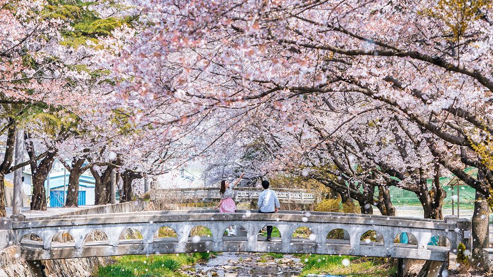 South Korea reopens to tourists, no quarantine or visas required ...